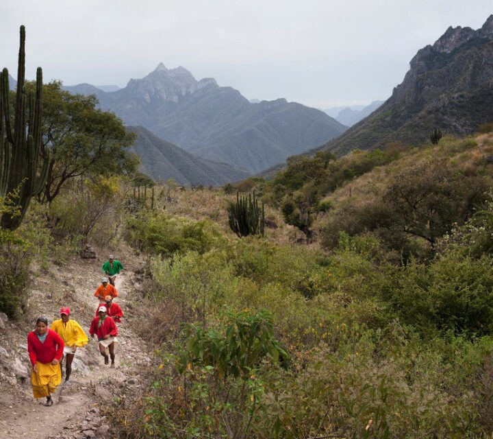 La vérité sur le secret des indiens Tarahumaras, fabuleux ultra ...