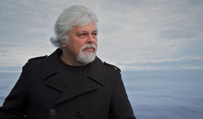 Scission à Sea Shepherd : Paul Watson nous explique le clash et le ...